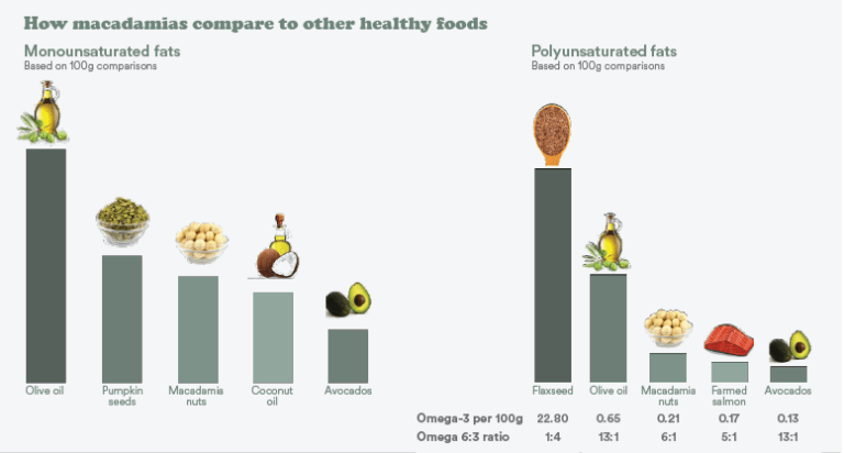 Macadamia Nut Nutritional Facts | Download Nutrition Data | WMO